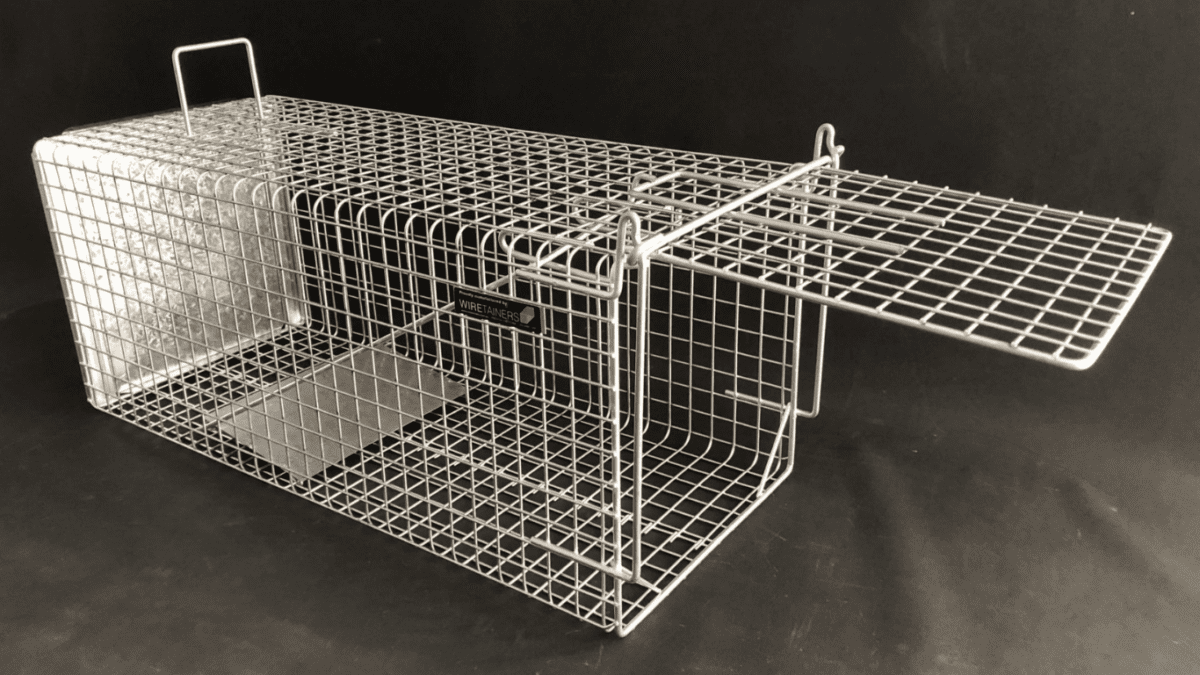 Top Cat Handling Tools for Feral Cat Management | Aces AU