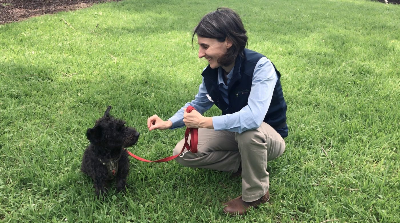 Humane Animal Handling Classes - ACES AU