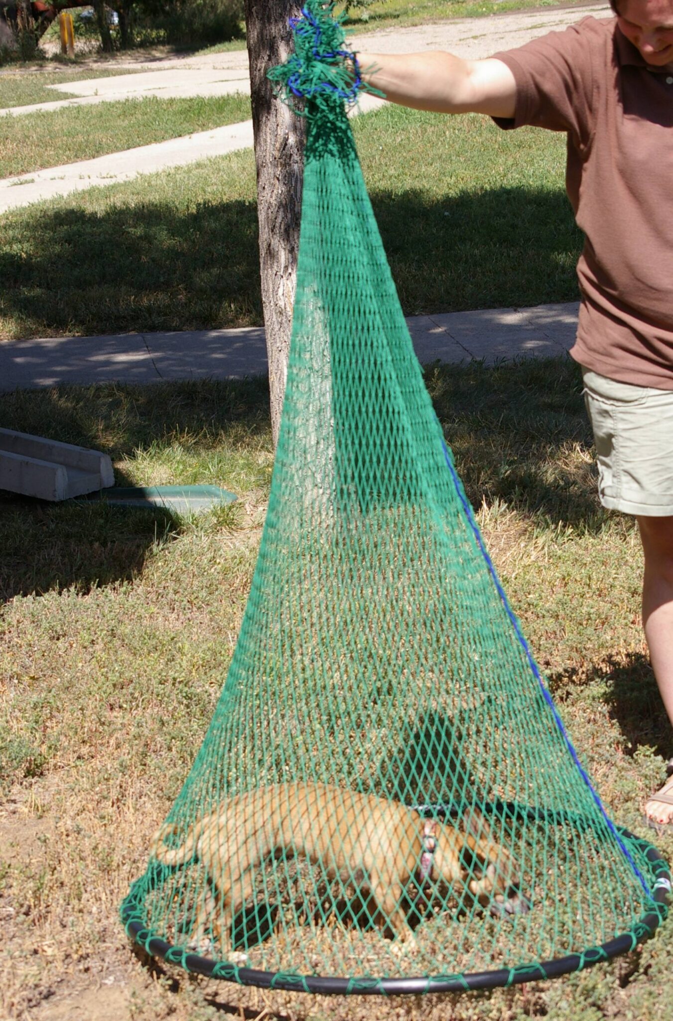 Humaniac™ Hula Hoop Net - ACES AU